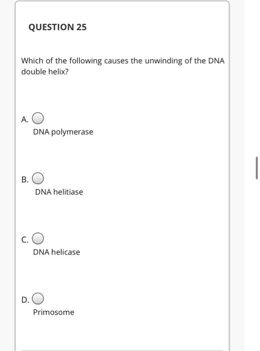 Solved DNA synthesis proceeds in the 5 prime >3 prime | Chegg.com
