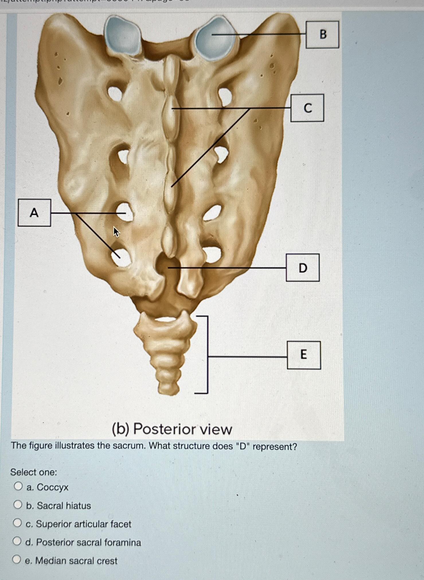 Solved (N) ﻿rusteוIUI vievvThe figure illustrates the | Chegg.com