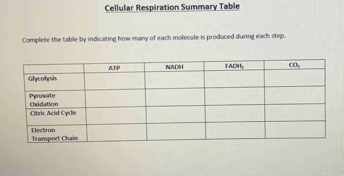 Solved Cellular Respiration Summary Table Complete the table | Chegg.com