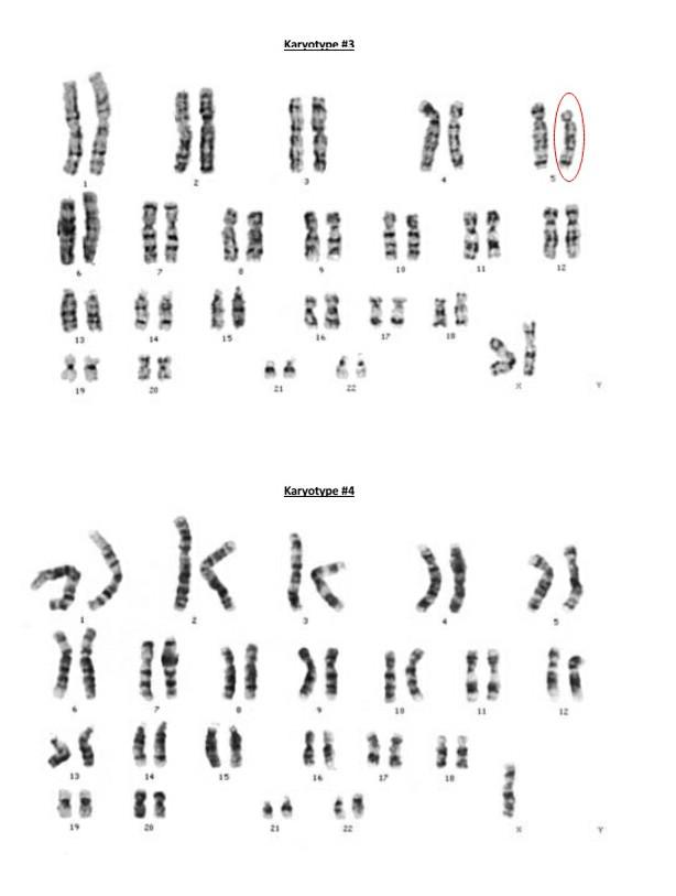 Solved Karyotype Lab Problem: The genetics lab has mixed up | Chegg.com