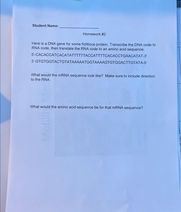 Solved Homework \#2 Here is a DNA gene for some fictitious | Chegg.com