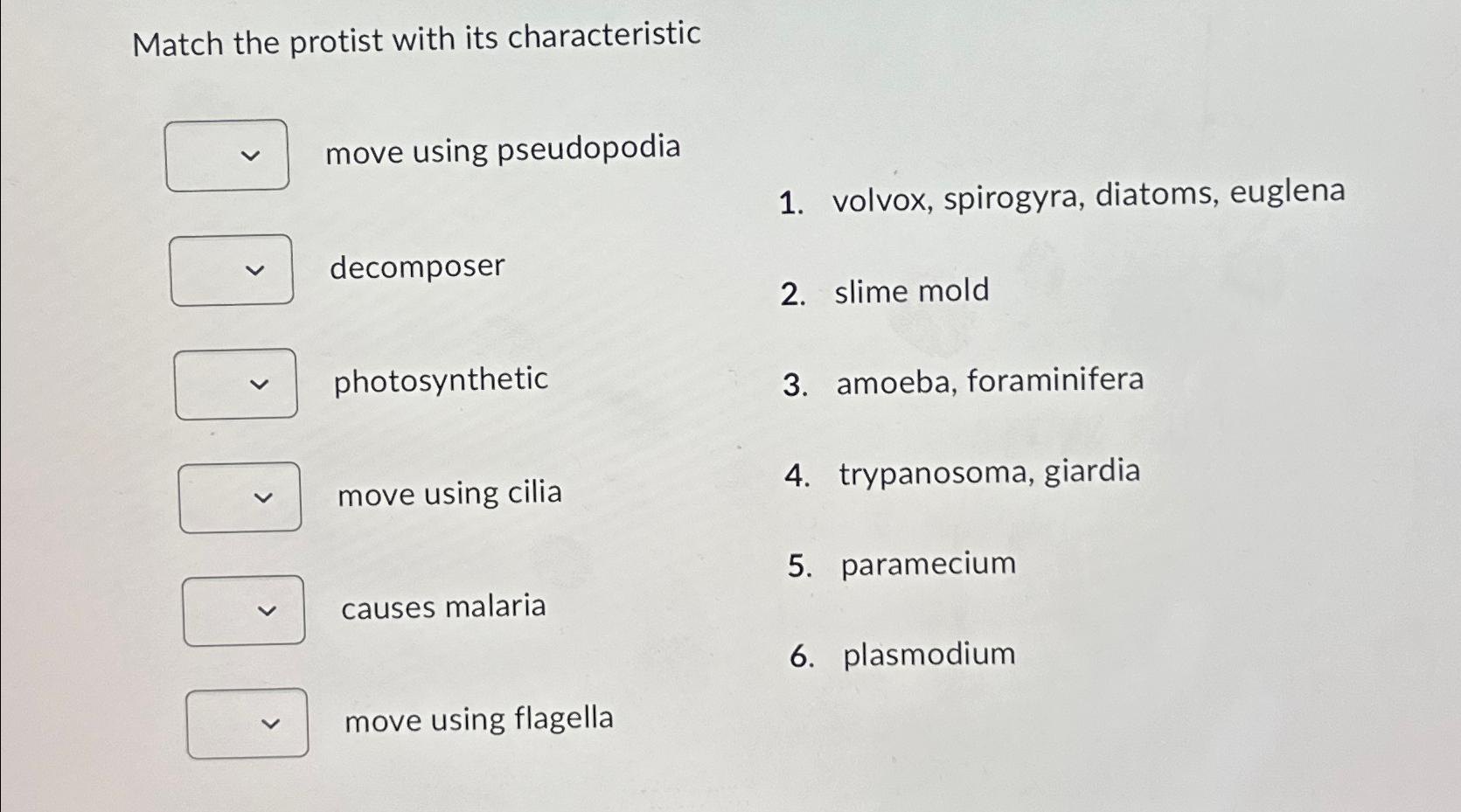 Solved Match the protist with its characteristicmove using | Chegg.com