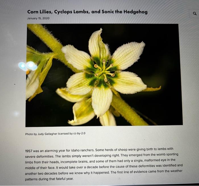 Solved Here is a reading on cyclops sheep. After you have | Chegg.com