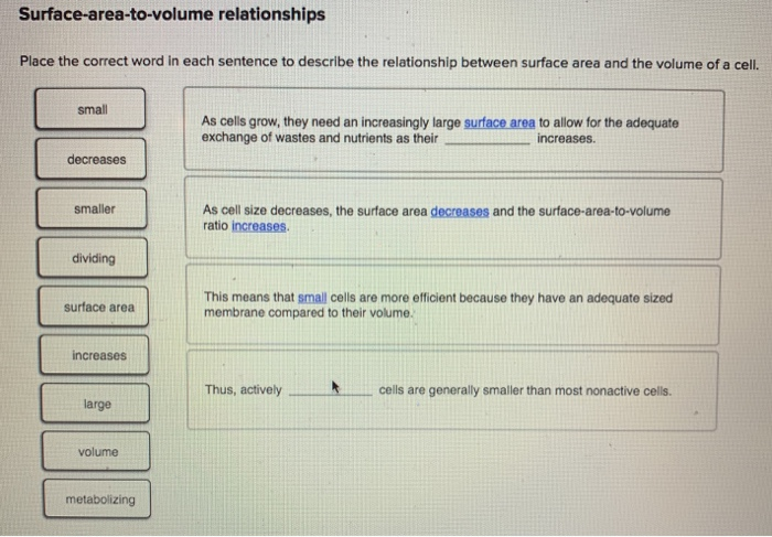 Solved Surface-area-to-volume relationships Place the | Chegg.com
