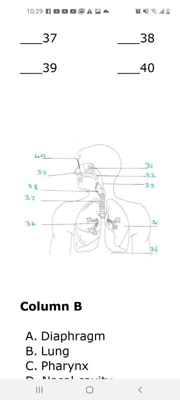 Solved 10:29 DDD MAP : Lecture E...IIr, 2020 - Saved Write | Chegg.com
