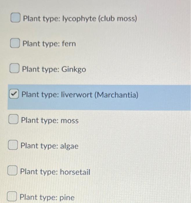 WORD BANK: microphyll, megaphyll, cone, spore, | Chegg.com