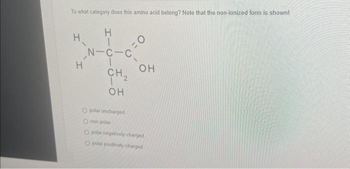 Solved To what calegory does this amino acid belong? Note | Chegg.com