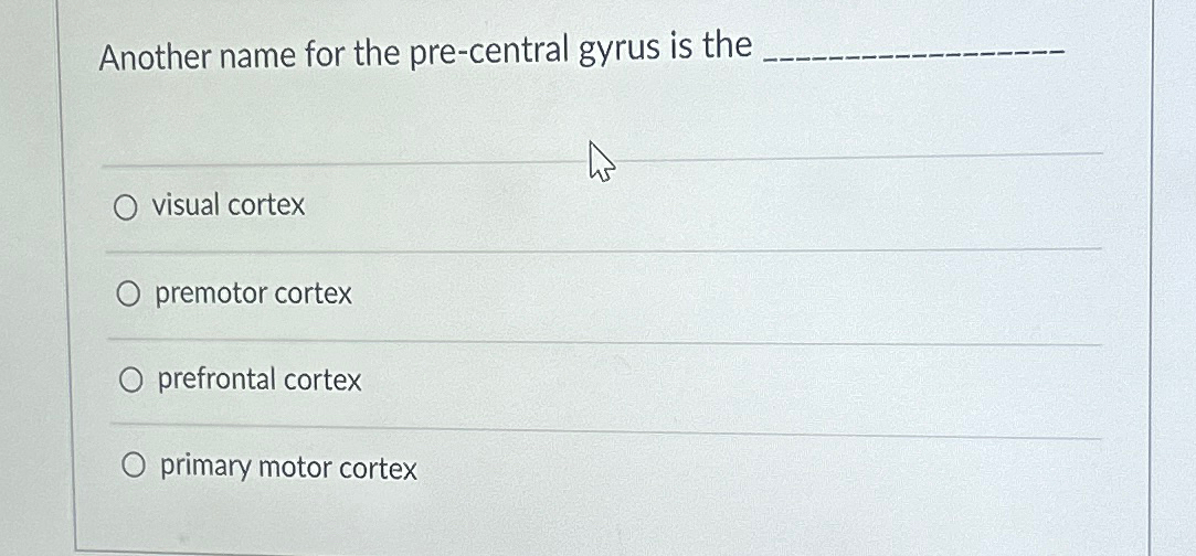 Solved Another name for the pre-central gyrus is theq,visual | Chegg.com
