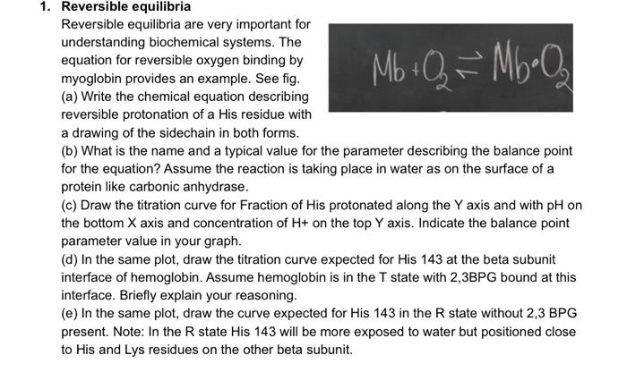 Solved Reversible equilibria Reversible equilibria are very | Chegg.com