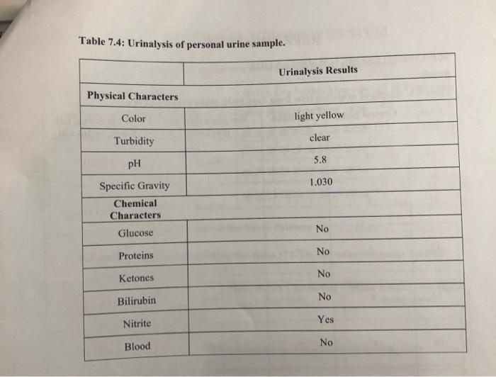 Solved Name: Lab 8: Urinary System DISCUSSION QUESTIONS 1. | Chegg.com