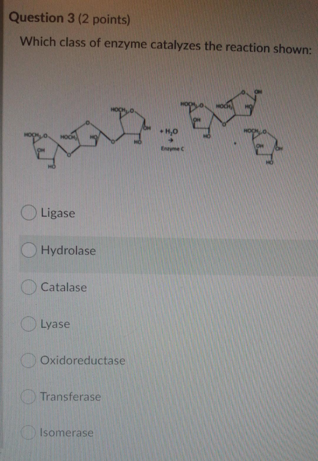 Solved Question 3 (2 points) Which class of enzyme catalyzes | Chegg.com