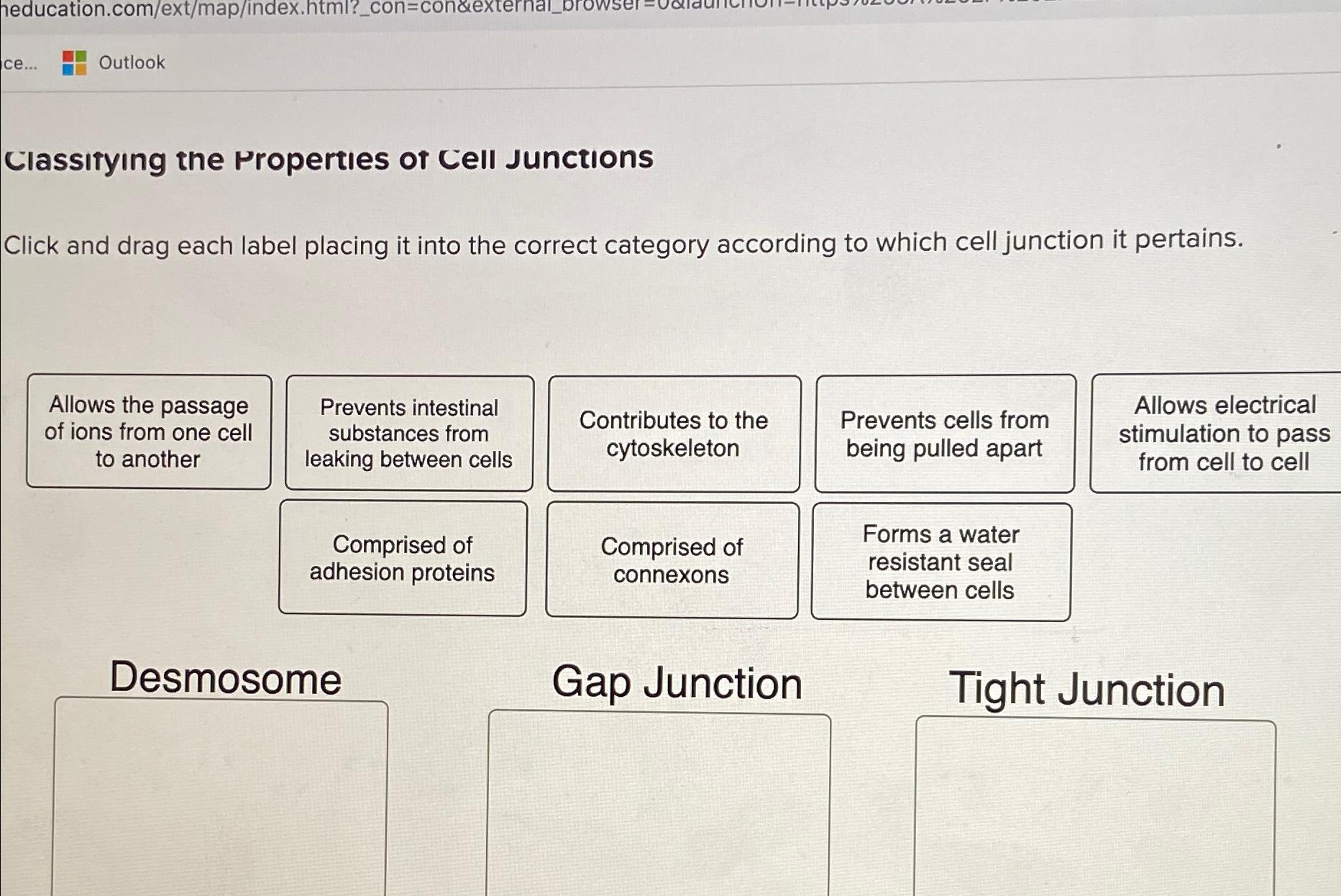 Solved Classitying the Properties or Cell JunctionsClick and | Chegg.com