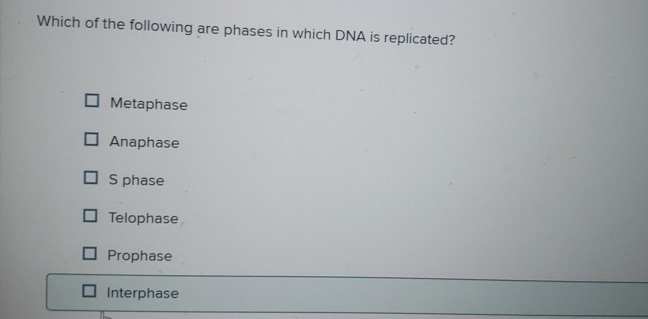 Solved Which of the following are phases in which DNA is | Chegg.com