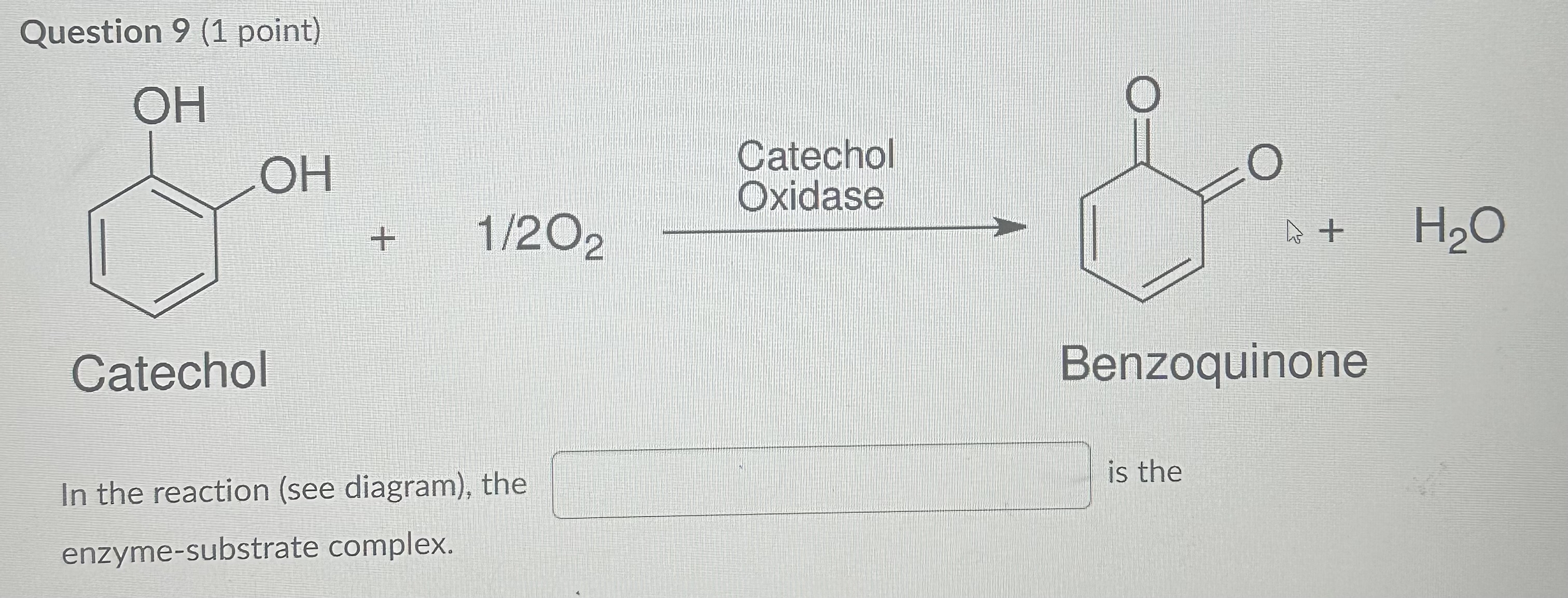 Solved Question 9 (1 | Chegg.com