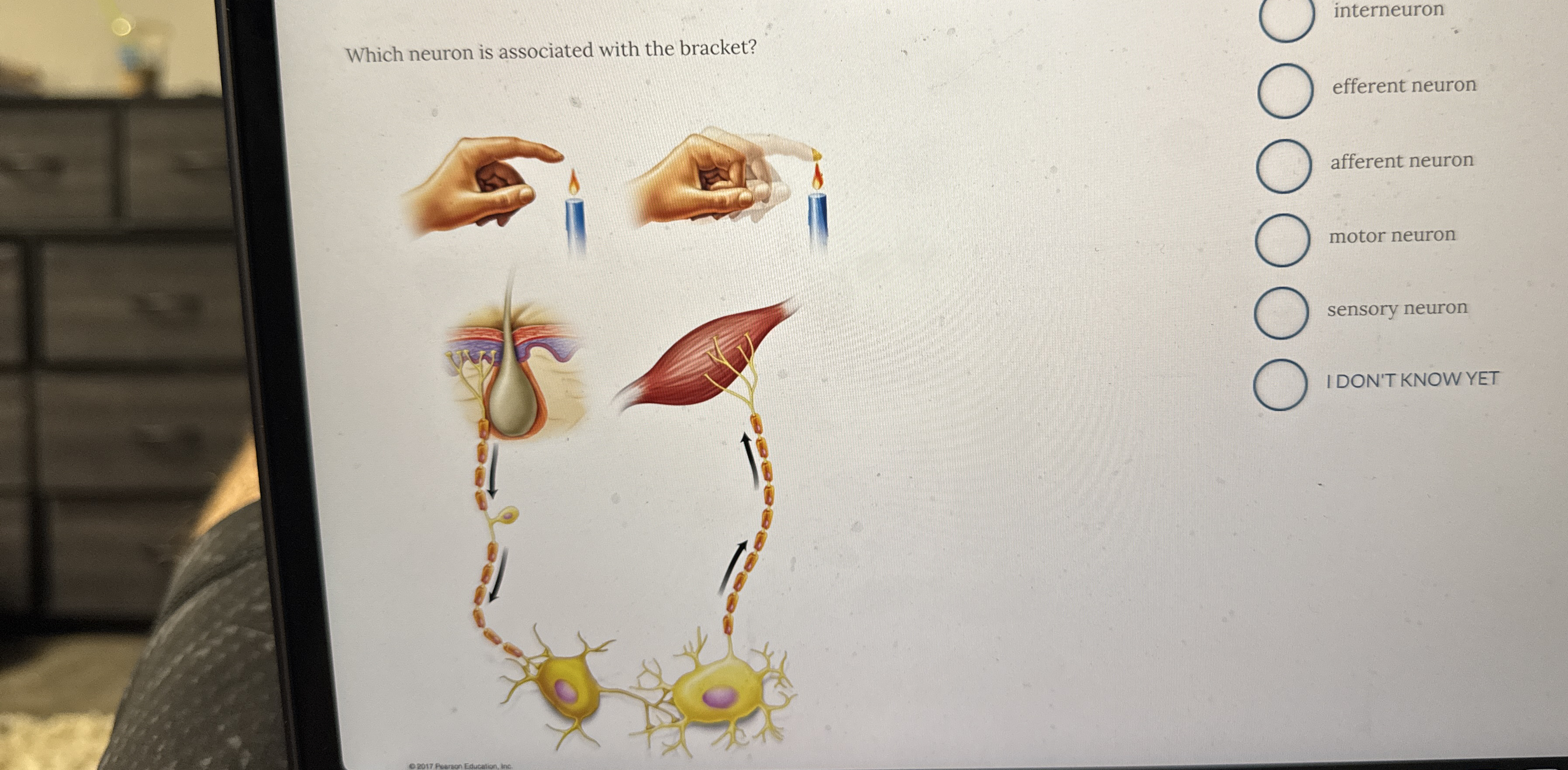 Solved What processes causes the release of | Chegg.com