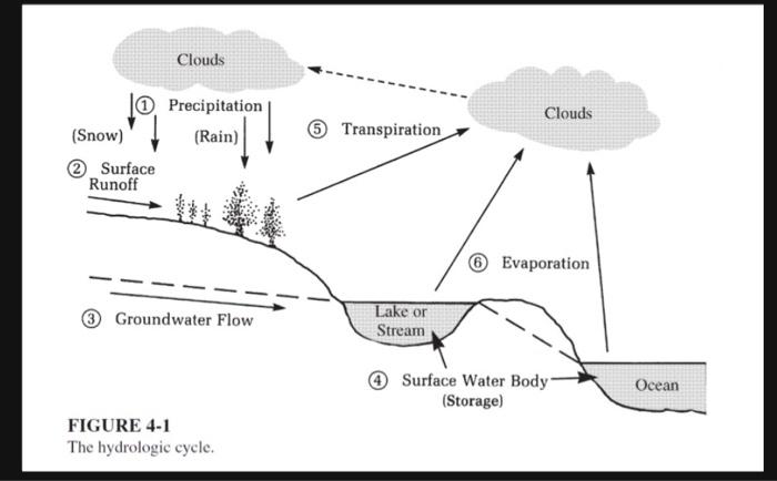 Solved Develop a mass balance equation for the hydrological | Chegg.com