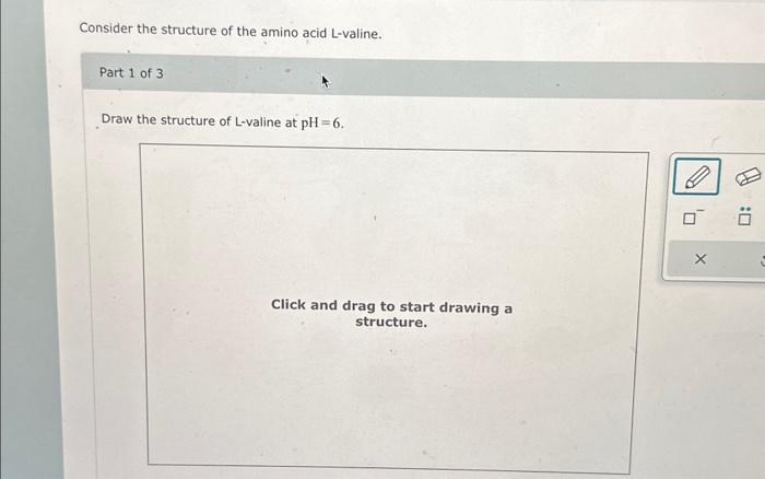 Solved Consider the structure of the amino acid L-valine. | Chegg.com
