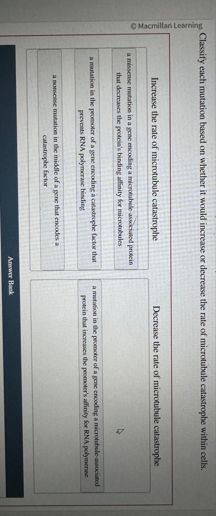 Solved Classify each mutation based on whether it would | Chegg.com