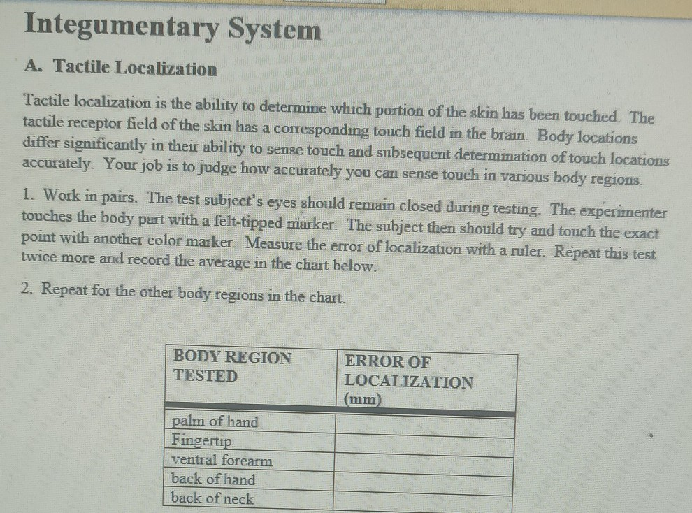 Solved Integumentary System A Tactile Localization Tactile
