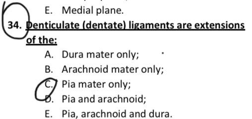 Solved E. Medial plane. 4. Denticulate (dentate) ligaments | Chegg.com
