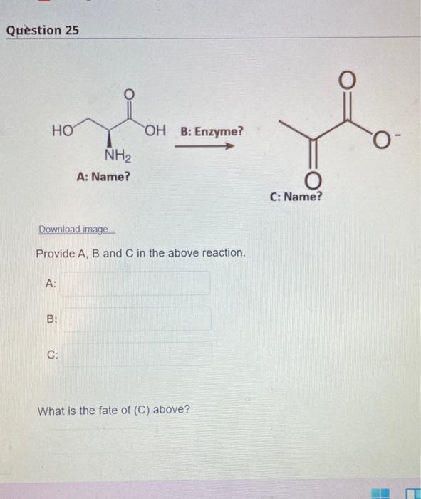 Solved Question 25 0- HO OH B: Enzyme? NH2 A: Name? о C: | Chegg.com