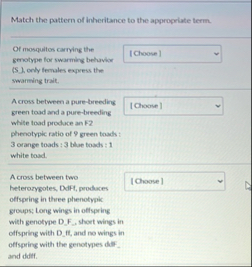 Solved Match the pattern of inheritance to the appropriate | Chegg.com