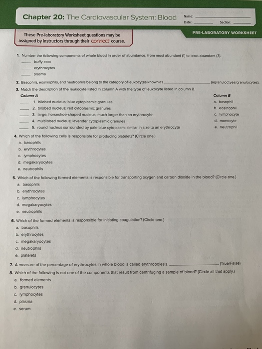 Solved Chapter 20: The Cardiovascular System: Blood Name | Chegg.com