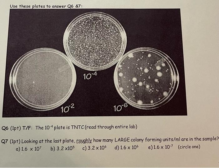 Solved Use these olates to answer 06&7 : Q6 (1pt) T/F: The | Chegg.com