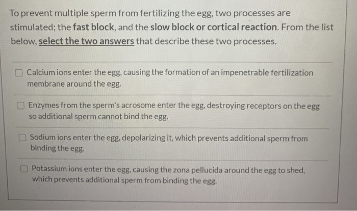 Solved To prevent multiple sperm from fertilizing the egg, | Chegg.com