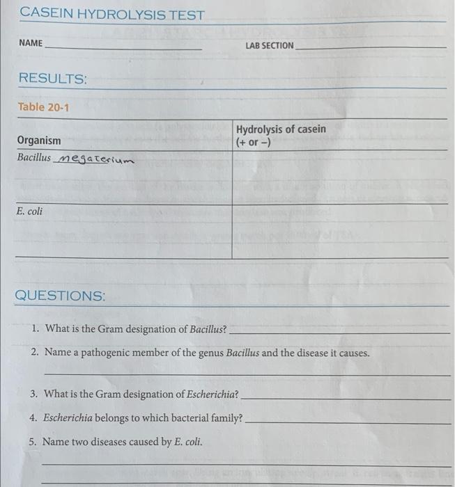 Solved CASEIN HYDROLYSIS TEST NAME LAB SECTION RESULTS: | Chegg.com