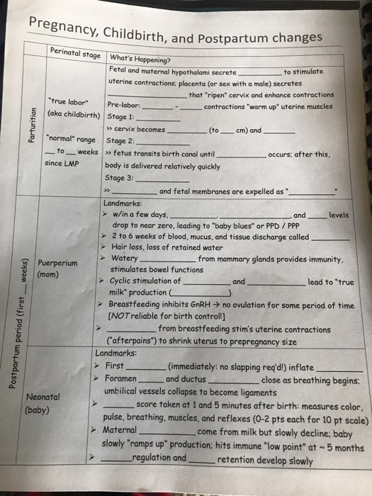 Stages of Conceptus Development Stage of Development | Chegg.com