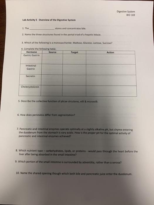 Solved Digestive System BIO 169 Lab Activitys Overview of | Chegg.com
