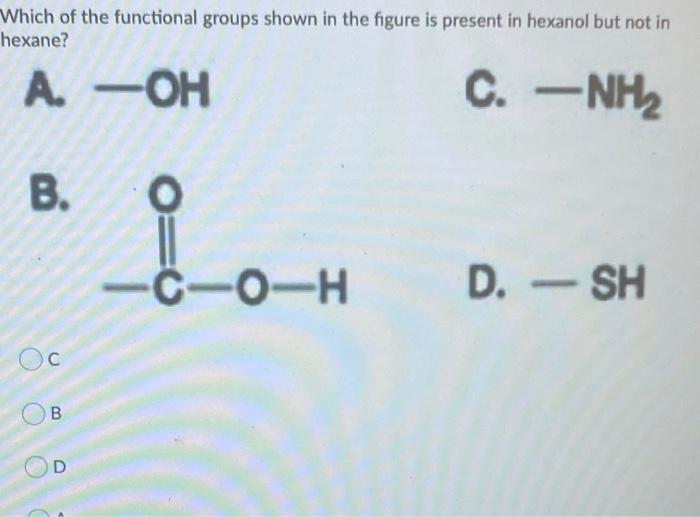 Solved Which of the functional groups shown in the figure is | Chegg.com
