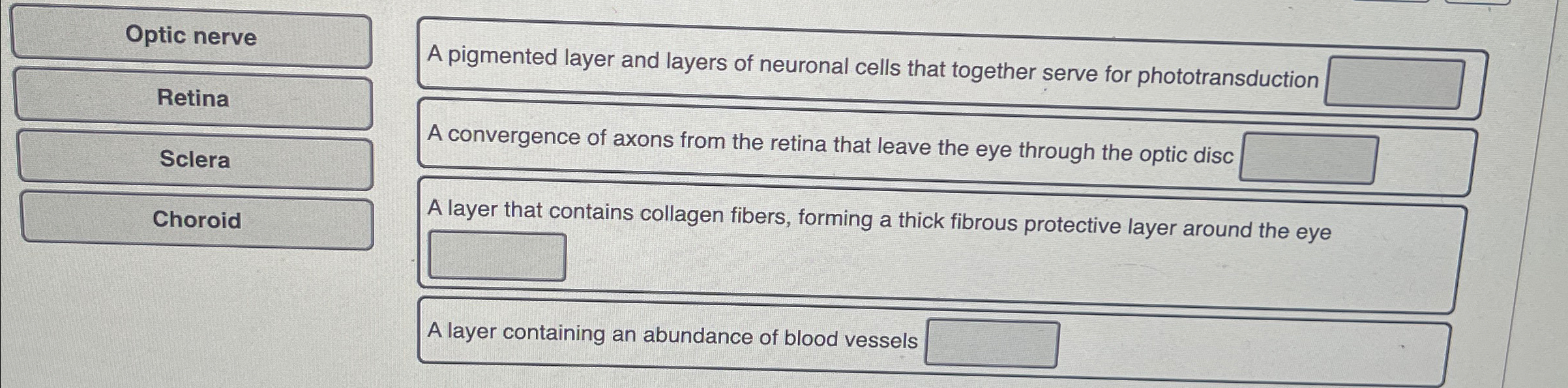Solved Optic nerveRetinaScleraChoroidA pigmented layer and | Chegg.com
