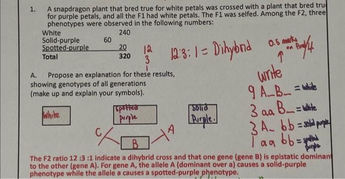 Solved Please explain this question, specfically thoruoghly | Chegg.com