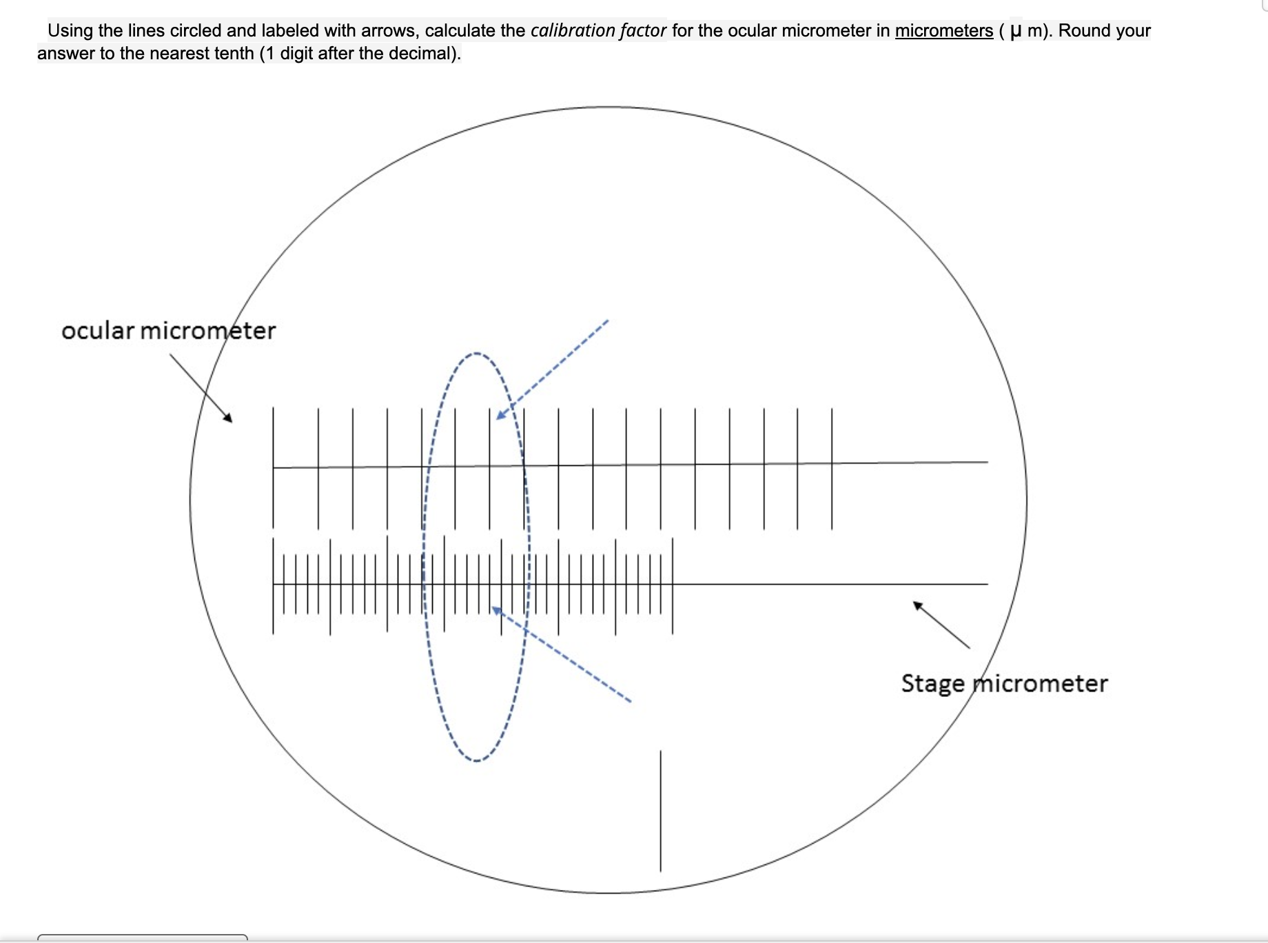 Solved Usina the lines circled and labeled with arrows. | Chegg.com