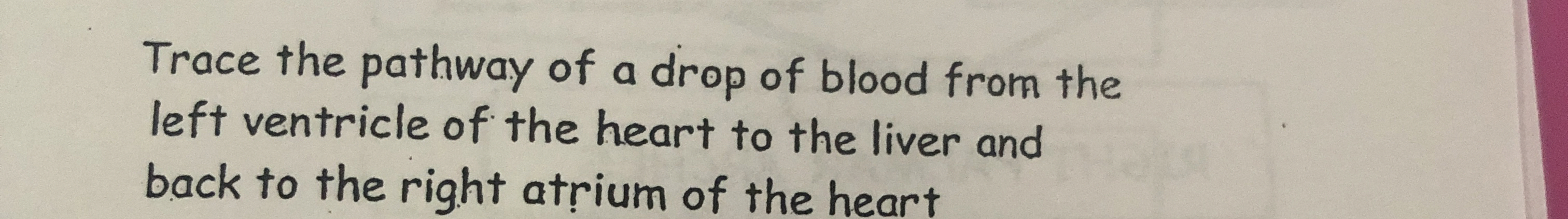 Solved Trace the pathway of a drop of blood from the left | Chegg.com
