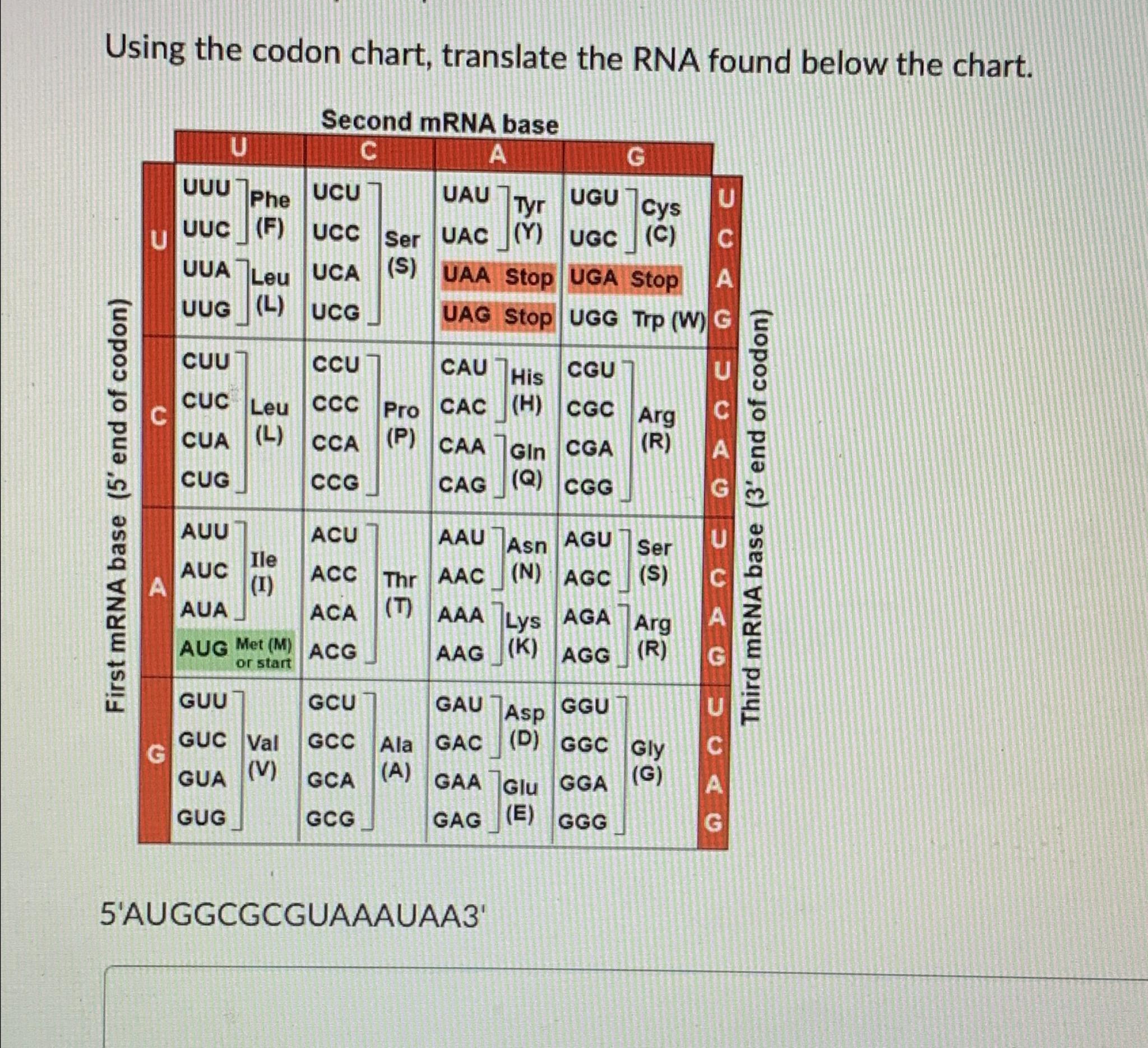 Solved Using the codon chart, translate the RNA found below | Chegg.com Solved Using the codon chart, translate the RNA found below | Chegg.com