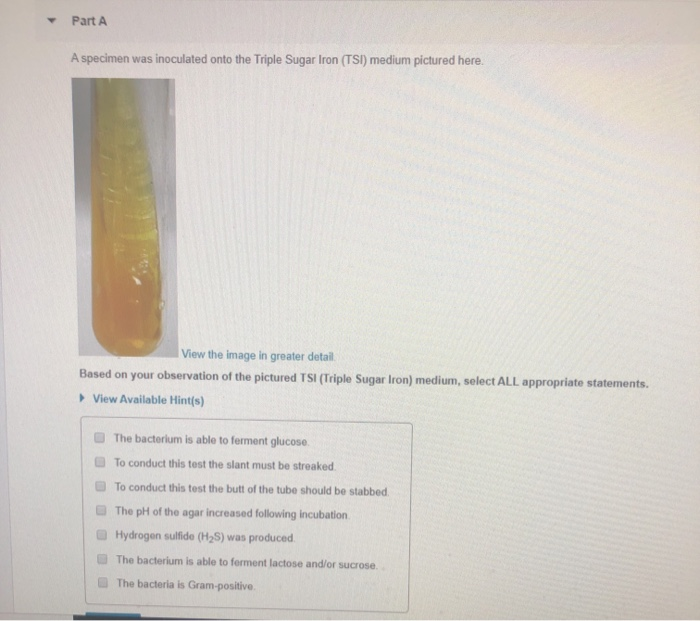 Solved Part A A specimen was inoculated onto the Triple | Chegg.com