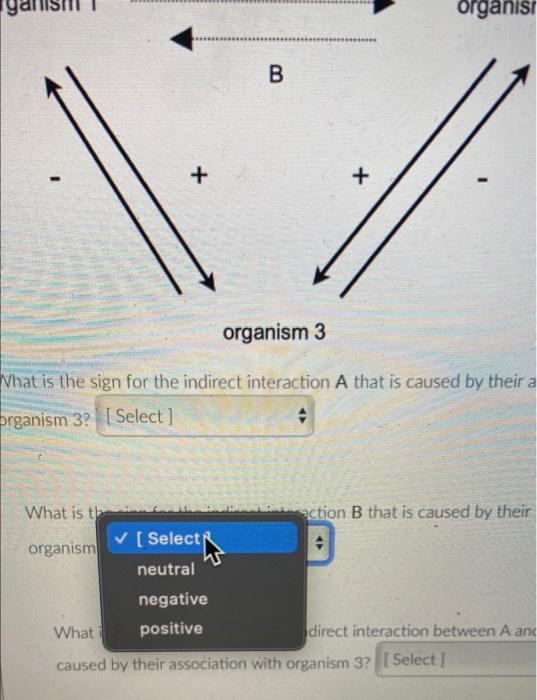 Solved Consider this species-interaction diagram. An | Chegg.com
