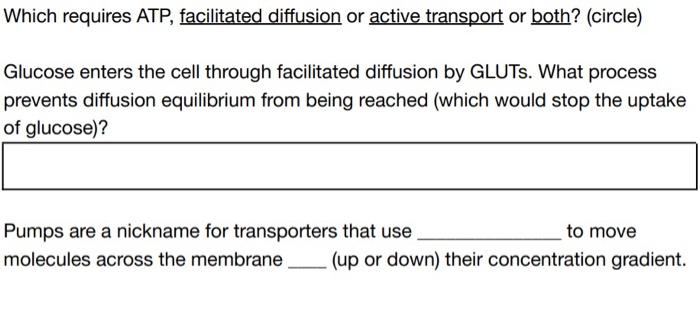 Solved Glucose enters the cell through facilitated diffusion | Chegg.com