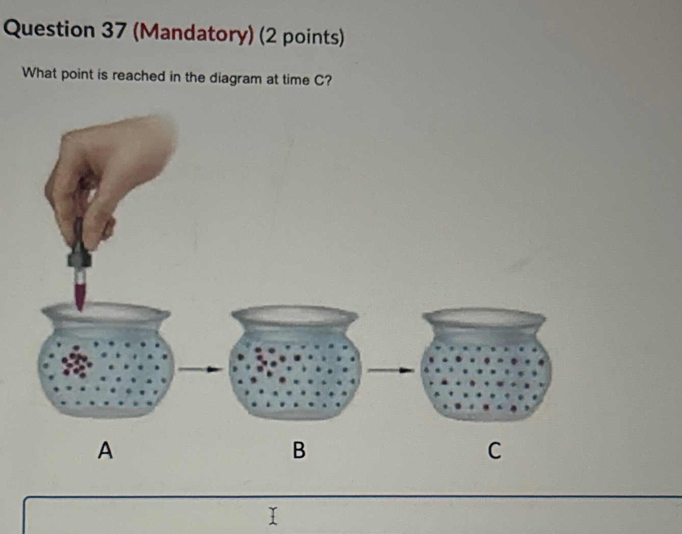 Solved Question 37 (Mandatory) (2 ﻿points)What point is | Chegg.com