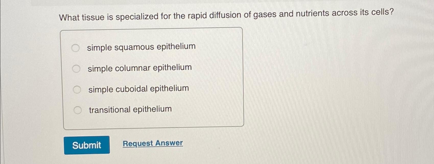 Solved What tissue is specialized for the rapid diffusion of | Chegg.com