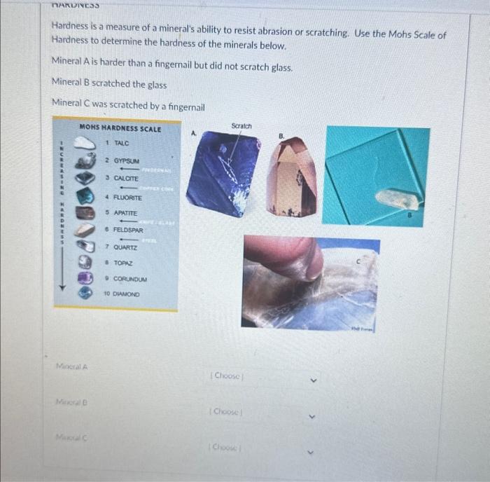 Solved What do these 3 specimens have in common? How do | Chegg.com