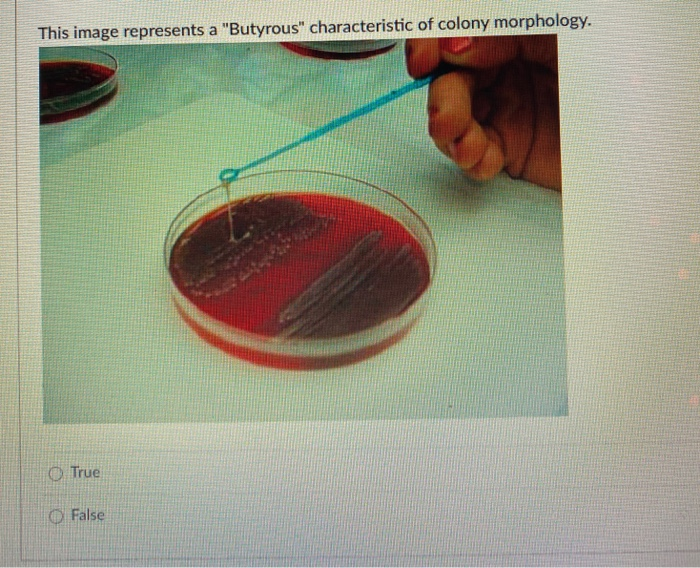 Solved Match the following characteristics to their correct | Chegg.com