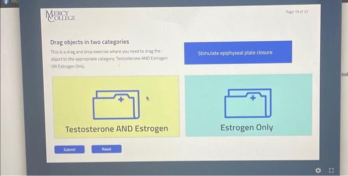 Solved Drag objects in two categories This is a drag and | Chegg.com