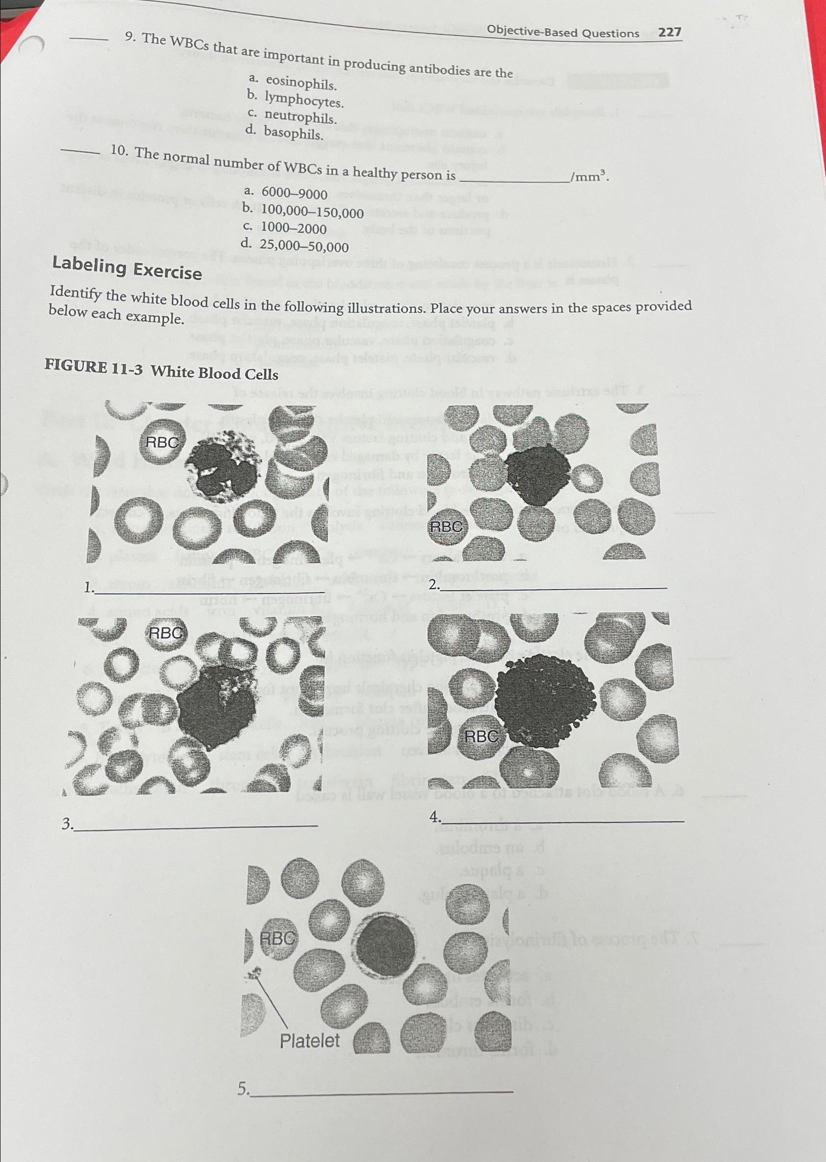 Solved Objective-Based Questions2279. ﻿The WBCs that are | Chegg.com