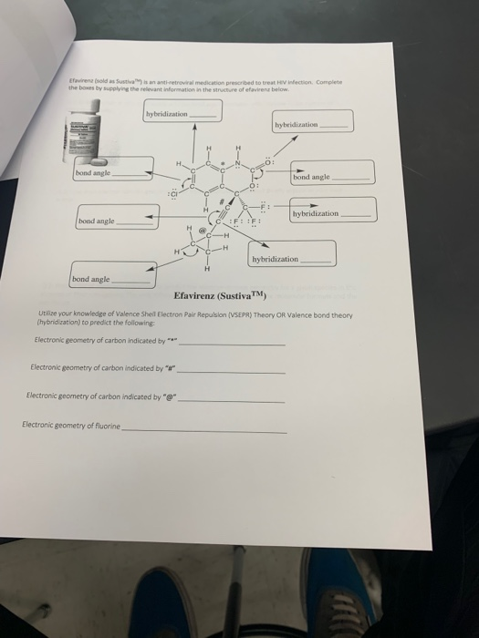 Solved Lab Day and Time Molecular Modeling - Recitation | Chegg.com