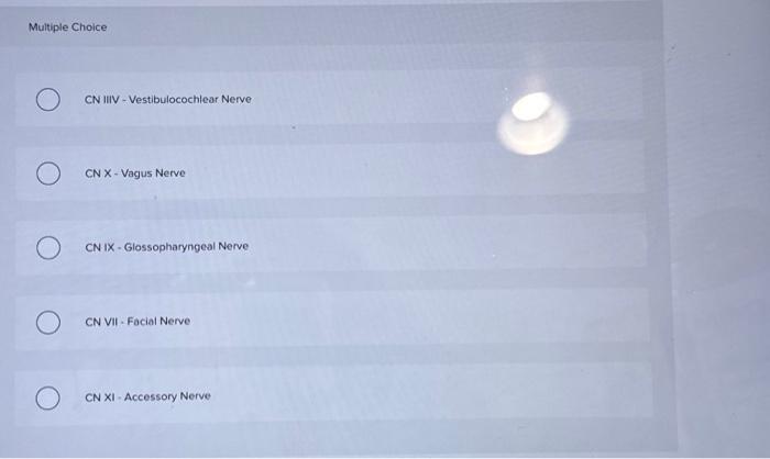 Solved Which structure is highlighted?Multiple Choice CN | Chegg.com