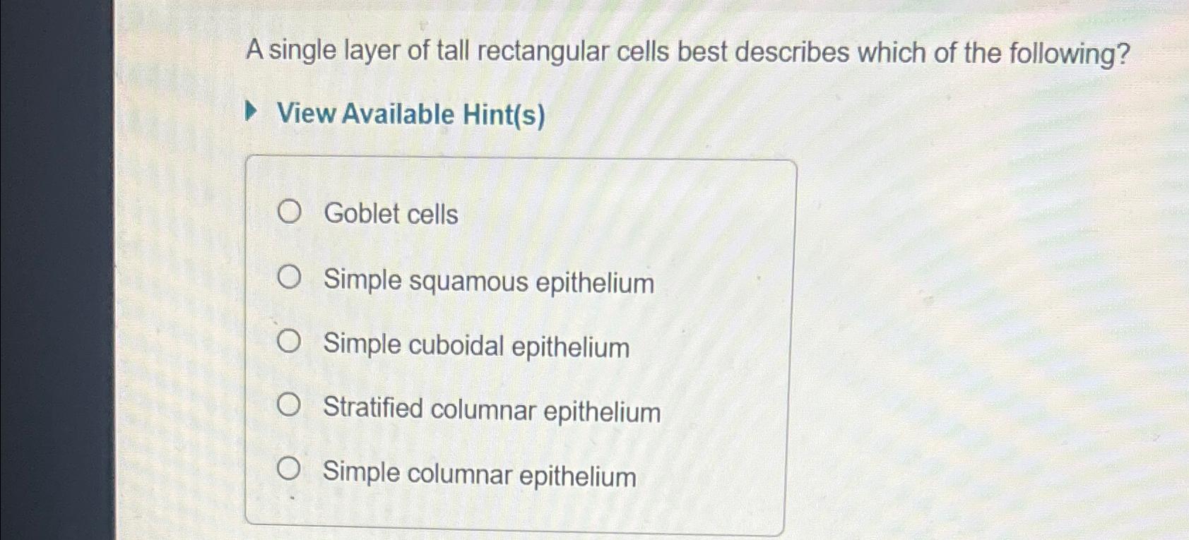 Solved A single layer of tall rectangular cells best | Chegg.com